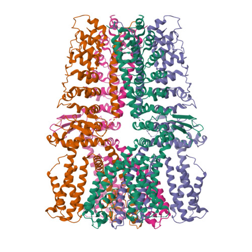 RCSB PDB - 6V9Y: Structure of TRPA1 bound with A-967079, PMAL-C8