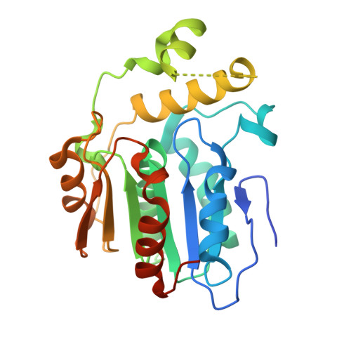 RCSB PDB - 6VAP: Structure of the type II thioesterase BorB from the ...