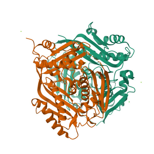 RCSB PDB - 6VCW: Crystal structure of Medicago truncatula S ...