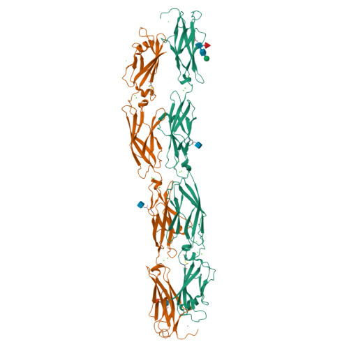 RCSB PDB - 6VFU: Crystal structure of human protocadherin 19 EC1-EC4