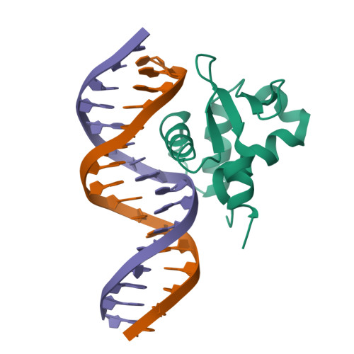 Rcsb Pdb 6vg2 Crystal Structure Of The Dna Binding Domain Of Human