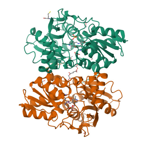RCSB PDB - 6VJU: Crystal Structure of Cystathionine beta synthase from ...