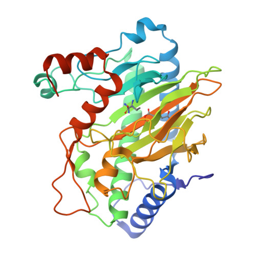RCSB PDB - 6VP4: Ethylene forming enzyme (EFE) in complex with Fe(II ...