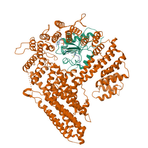 RCSB PDB - 6VP9: Cryo-EM structure of human NatB complex