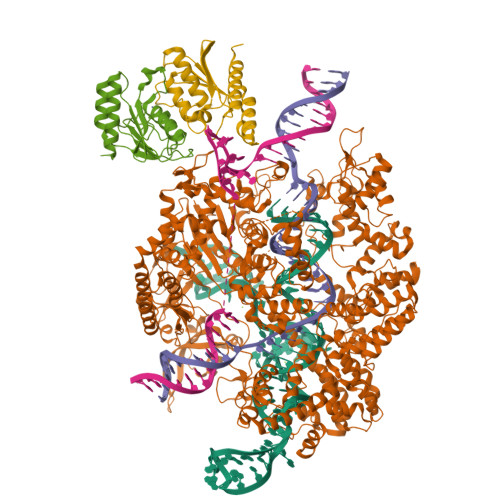 RCSB PDB - 6VPC: Structure of the SpCas9 DNA adenine base editor - ABE8e