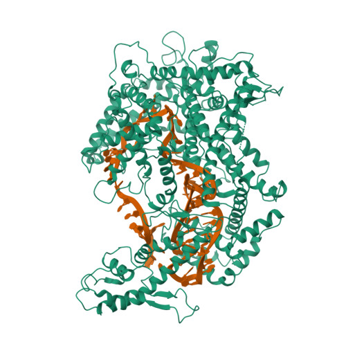 RCSB PDB - 6VRC: Cryo-EM structure of Cas13(crRNA)
