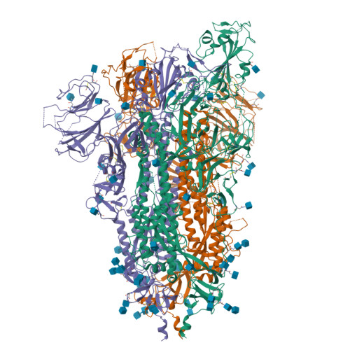 RCSB PDB - 6VSB: Prefusion 2019-nCoV spike glycoprotein with a single ...