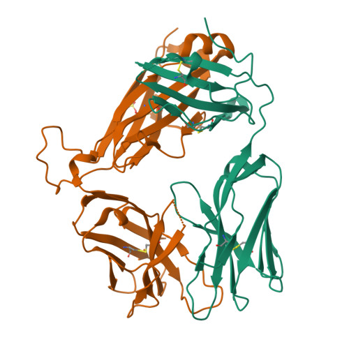 RCSB PDB - 6VTH: p53-specific T cell receptor