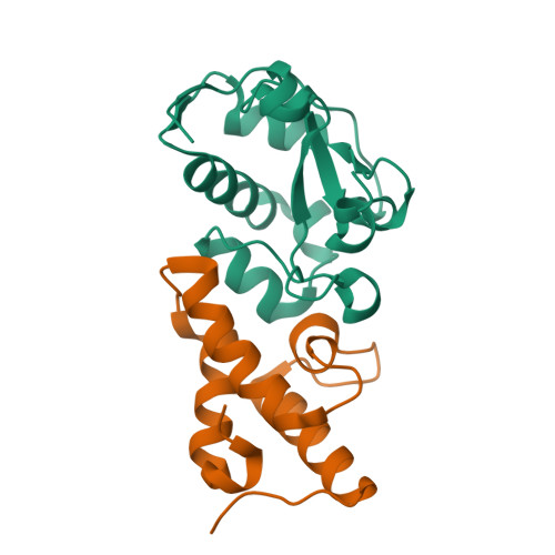 RCSB PDB - 6W0V: The Crystal Structure of the Mutant Nuclease Domain of ...