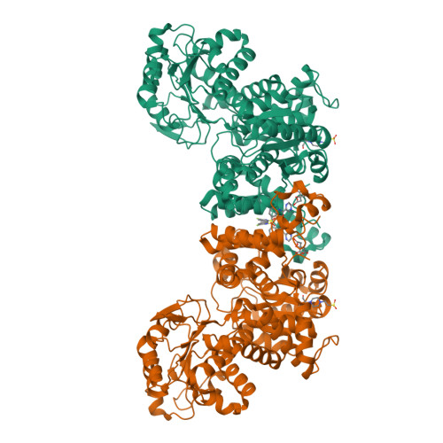 RCSB PDB - 6W49: Trypanosoma cruzi Malic Enzyme in complex with ...