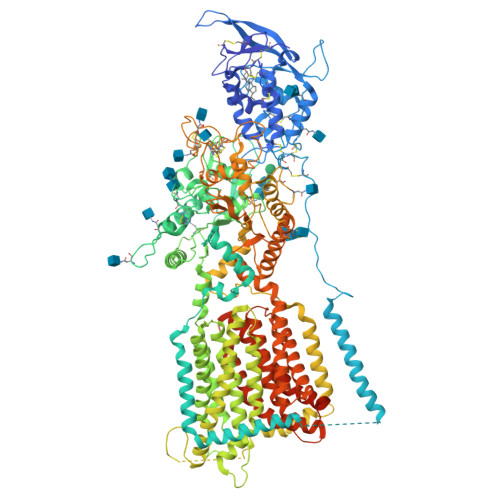 RCSB PDB - 6W5R: NPC1 structure in Nanodisc