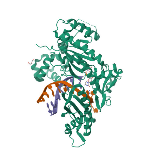RCSB PDB - 6W5X: Crystal structure of human polymerase eta complexed ...