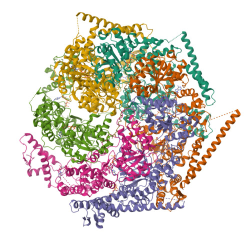 RCSB PDB - 6W6H: The Mycobacterium tuberculosis ClpB disaggregase ...