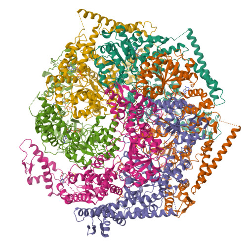 RCSB PDB - 6W6J: The Mycobacterium tuberculosis ClpB disaggregase ...