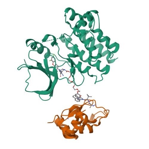 RCSB PDB - 6W8I: Ternary complex structure - BTK cIAP compound 15