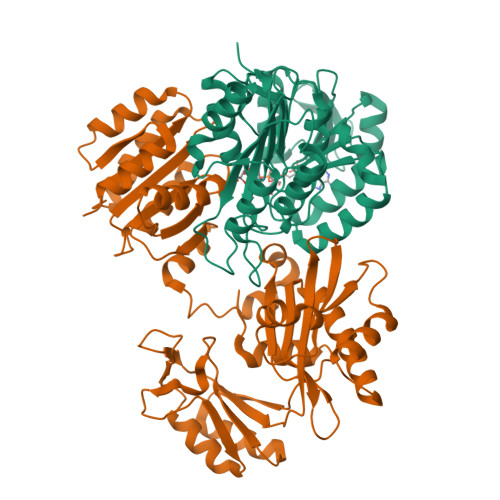 RCSB PDB - 6WCV: Tartryl-CoA bound to human GTP-specific succinyl-CoA ...