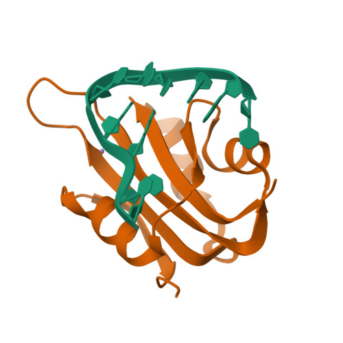 RCSB PDB - 6WDZ: Porcine circovirus 2 Rep domain complexed with a ...
