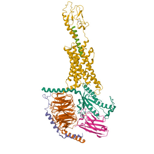 RCSB PDB - 6WI9: Human secretin receptor Gs complex