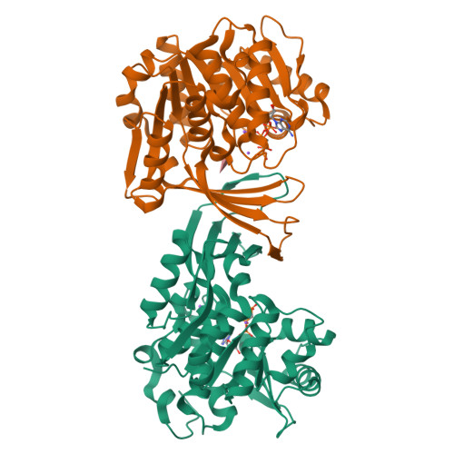 RCSB PDB - 6WK0: Crystal structure of human ribokinase in complex with ...