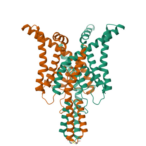 RCSB PDB - 6WLV: TASK2 in MSP1D1 lipid nanodisc at pH 6.5