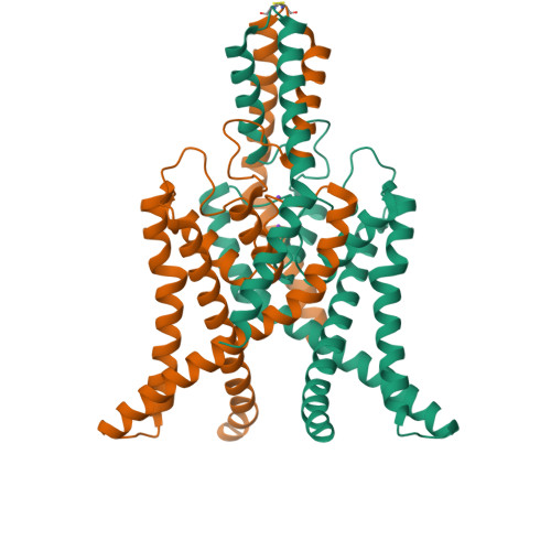 RCSB PDB - 6WM0: TASK2 in MSP1D1 lipid nanodisc at pH 8.5