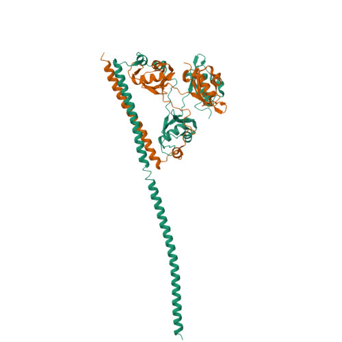 RCSB PDB - 6WMZ: Crystal structure of human SFPQ/NONO complex