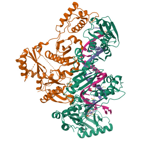 RCSB PDB - 6WPH: Structure of HIV-1 Reverse Transcriptase (RT) in ...