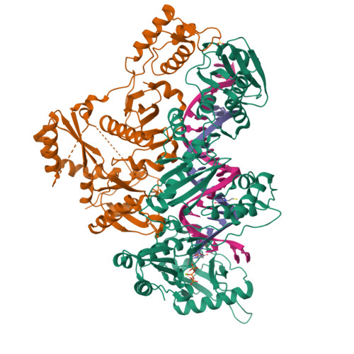 RCSB PDB - 6WPJ: Structure of HIV-1 Reverse Transcriptase (RT) in ...