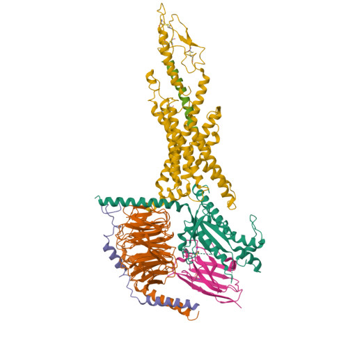 RCSB PDB - 6WPW: GCGR-Gs signaling complex bound to a designed glucagon ...