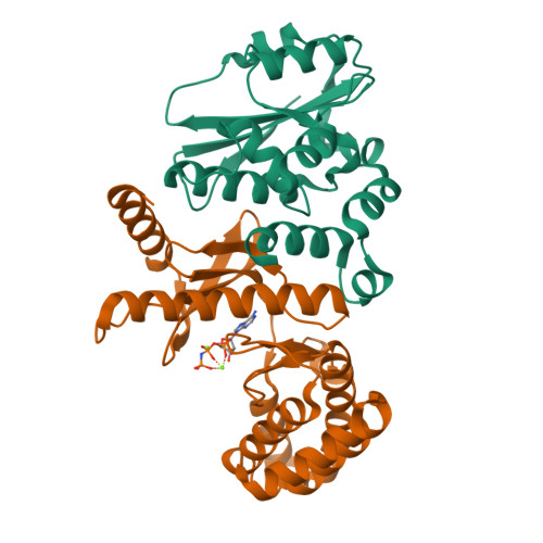 RCSB PDB - 6WQX: Human PRPK-TPRKB complex