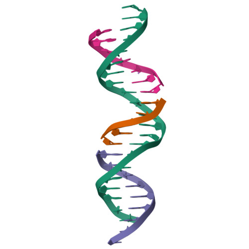 RCSB PDB - 6WR3: Self-assembly of a 3D DNA crystal lattice (4x5 duplex ...