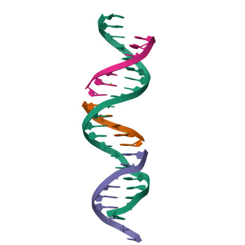 RCSB PDB - 6WRA: Self-assembly of a 3D DNA crystal lattice (4x5 duplex ...