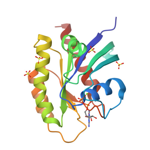 RCSB PDB - 6WS2: Crystal structure of KRAS-K104Q mutant, GDP-bound