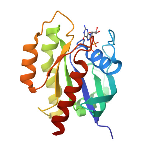 RCSB PDB - 6WS4: Crystal structure of KRAS-G12D/K104Q mutant, GDP-bound