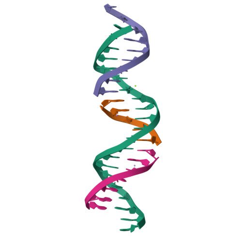 RCSB PDB - 6WSP: Self-assembly of a 3D DNA crystal lattice (4x5 duplex ...