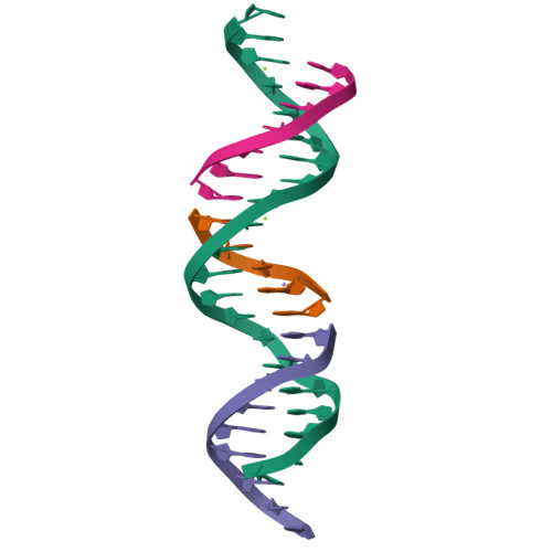 RCSB PDB - 6WST: Self-assembly of a 3D DNA crystal lattice (4x5 duplex ...