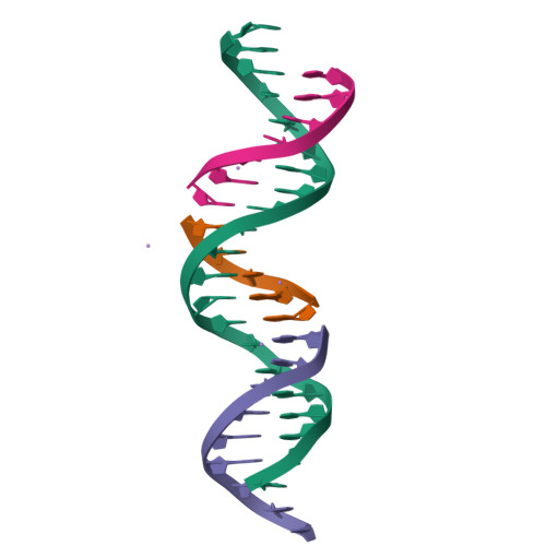 RCSB PDB - 6WSU: Self-assembly of a 3D DNA crystal lattice (4x5 duplex ...