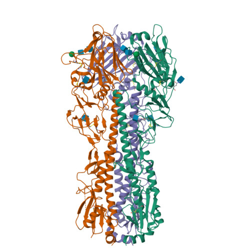 RCSB PDB - 6WXB: Cryo-EM Structure of Influenza Hemagglutinin (HA ...