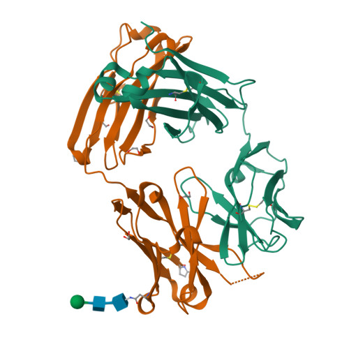RCSB PDB - 6WYR: Crystal structure of anti-Muscle Specific Kinase (MuSK ...