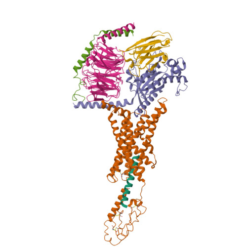 RCSB PDB - 6WZG: Human secretin receptor Gs complex