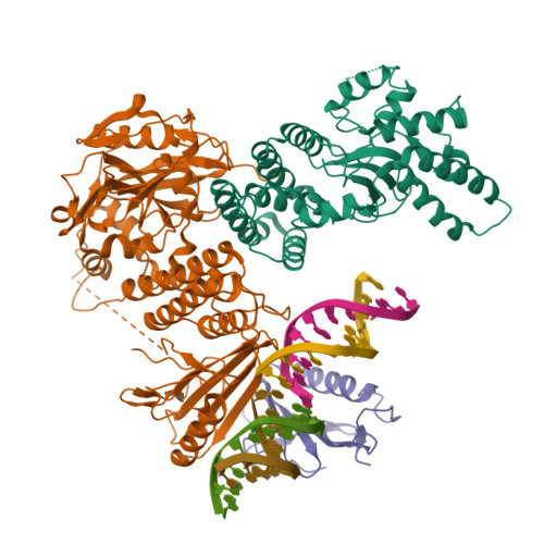 RCSB PDB - 6X0L: Bridging of double-strand DNA break activates PARP2 ...