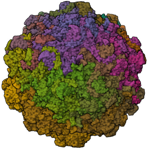 RCSB PDB - 6X2I: The Cutavirus (CuV) capsid structure