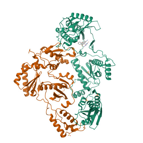 RCSB PDB - 6X4B: Crystal Structure of HIV-1 Reverse Transcriptase in ...