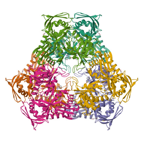 RCSB PDB - 6X6G: Crystal structure of acetyltransferase Eis from ...