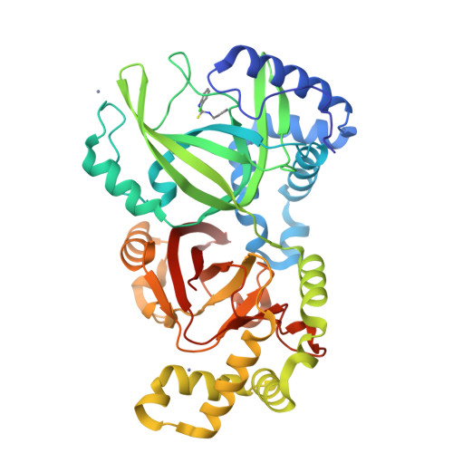 RCSB PDB - 6X6X: Crystal structure of enzymatic binary toxin component ...