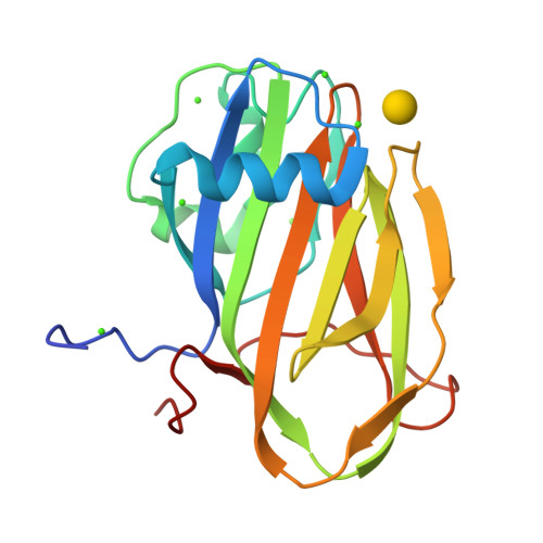 RCSB PDB - 6XAC: Galactose-bound structure of Marinomonas primoryensis ...