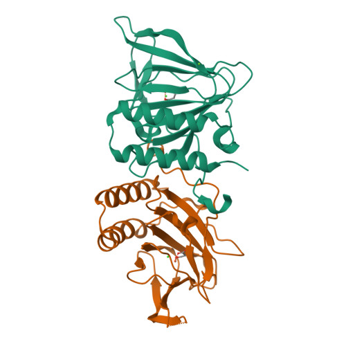 RCSB PDB - 6XB9: Crystal structure of Azotobacter vinelandii 3 ...