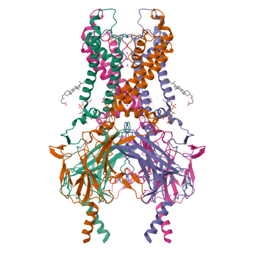 RCSB PDB - 6XEV: CryoEM structure of GIRK2-PIP2/CHS - G protein-gated ...