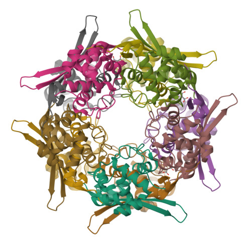RCSB PDB - 6XGT: Crystal structure of cyanase from the thermophilic ...