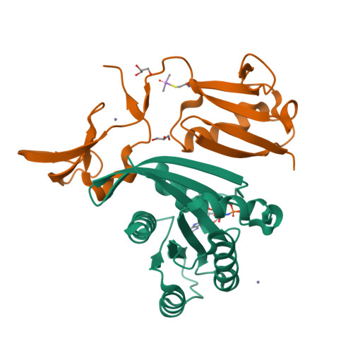 RCSB PDB - 6XGU: Crystal Structure of KRAS-Q61R (GMPPNP-bound) in ...